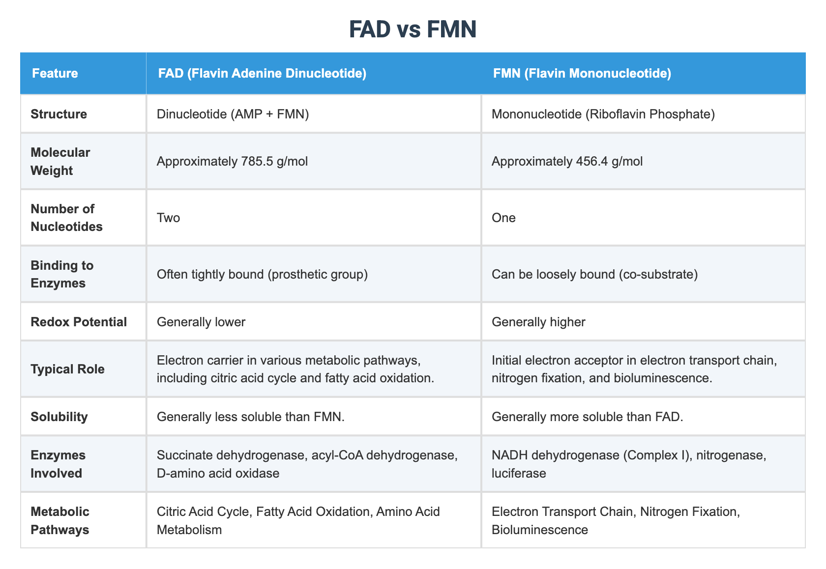 FAD vs FMN