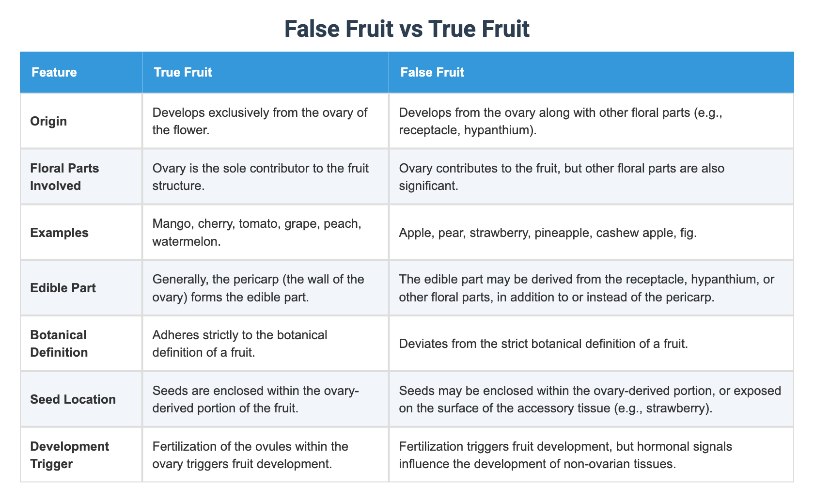 False Fruit vs True Fruit