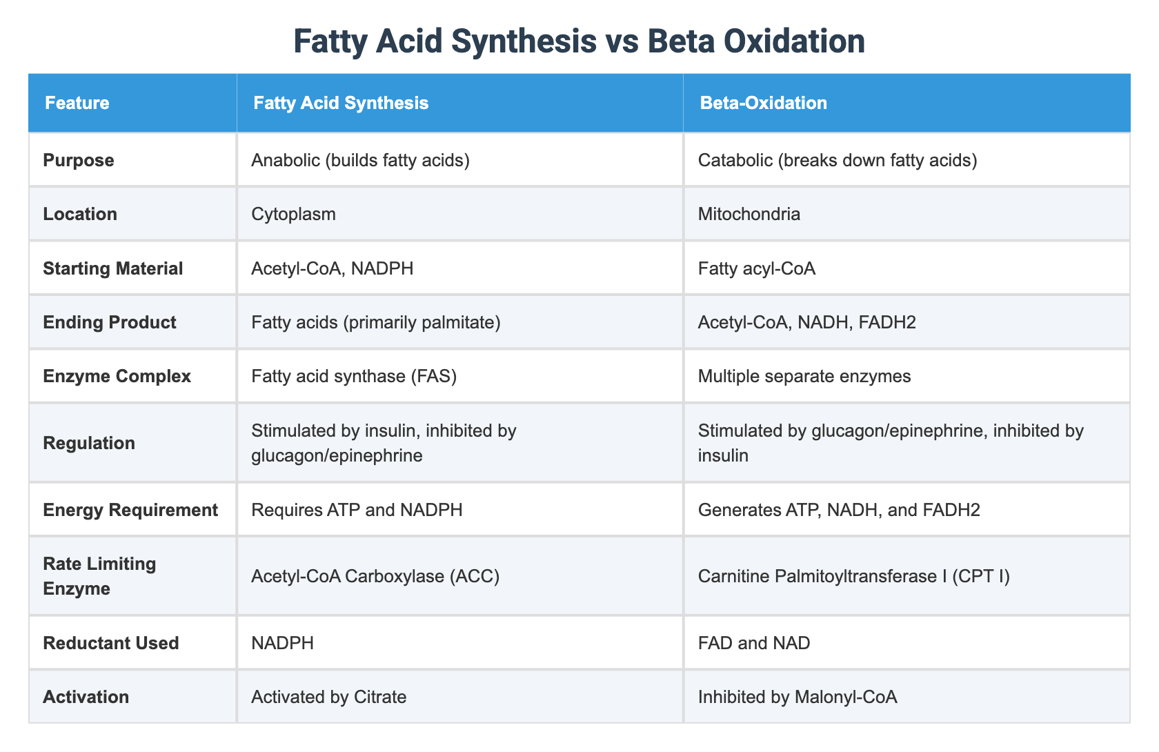 Fatty Acid Synthesis vs Beta Oxidation