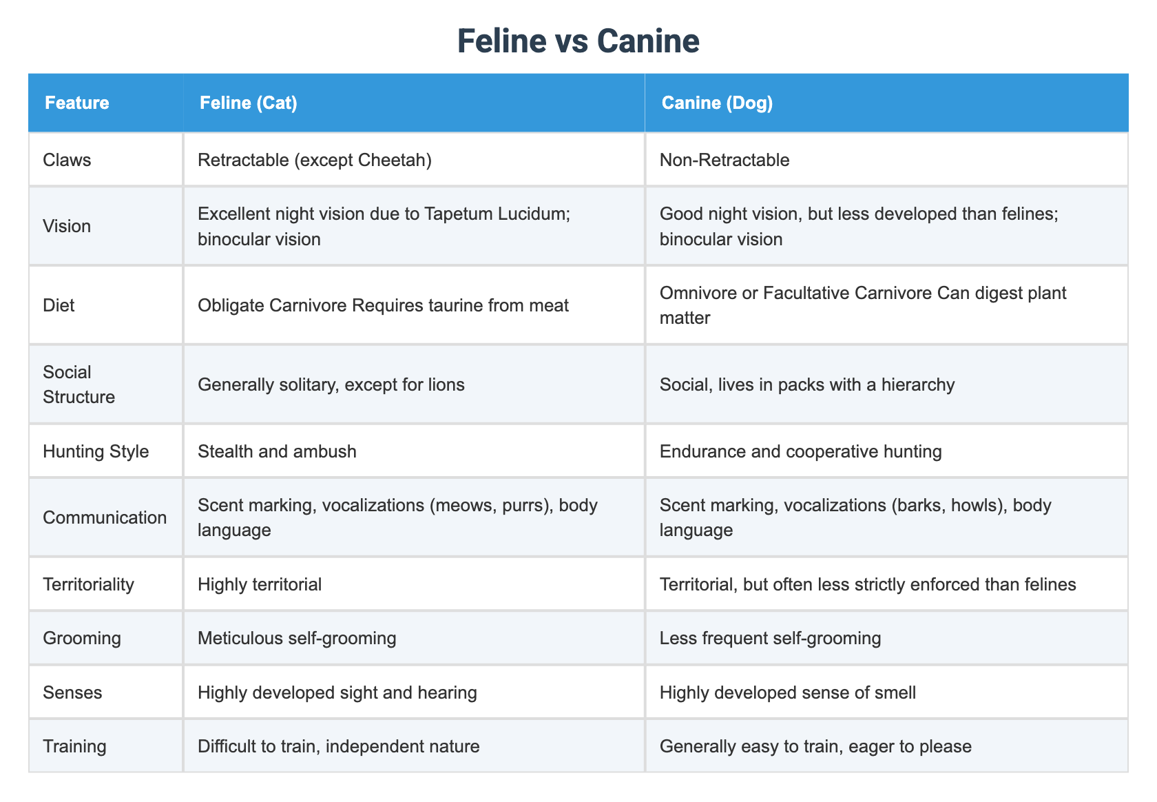 Feline vs Canine