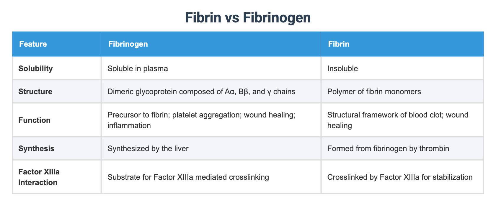 Fibrin vs Fibrinogen