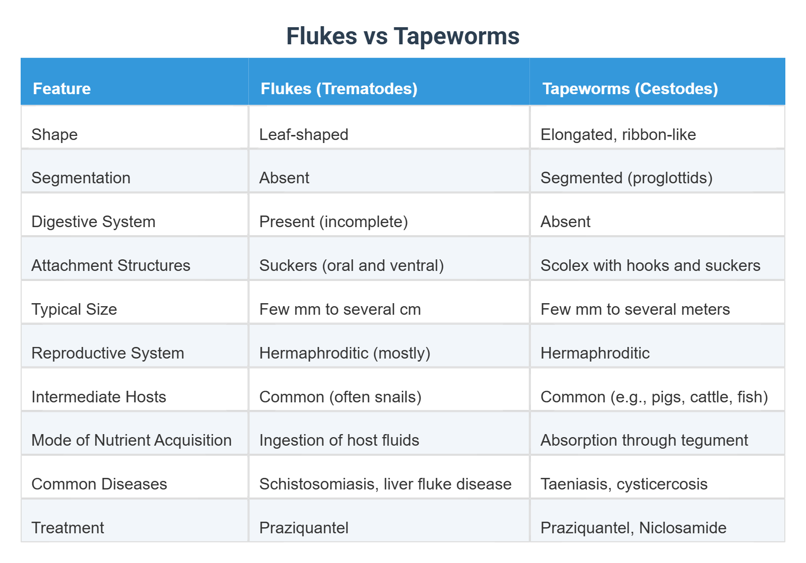 Flukes vs Tapeworms