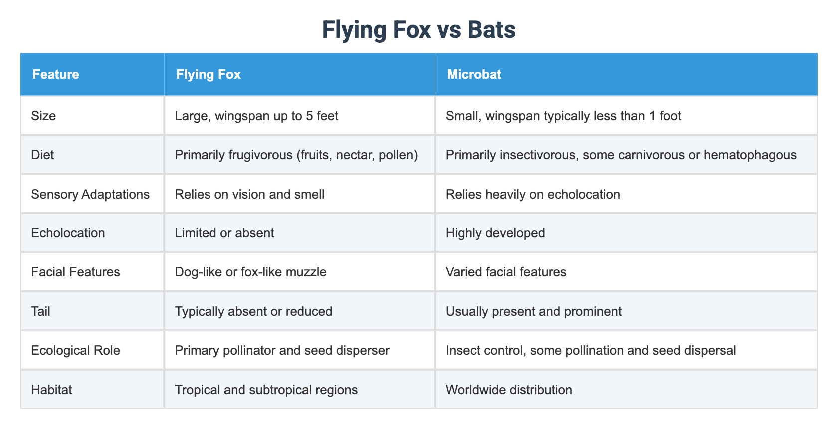 Flying Fox vs Bats