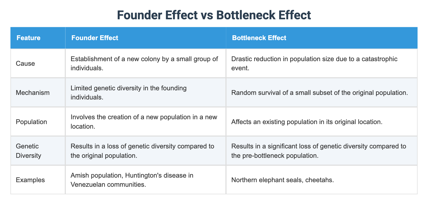 Founder Effect vs Bottleneck Effect