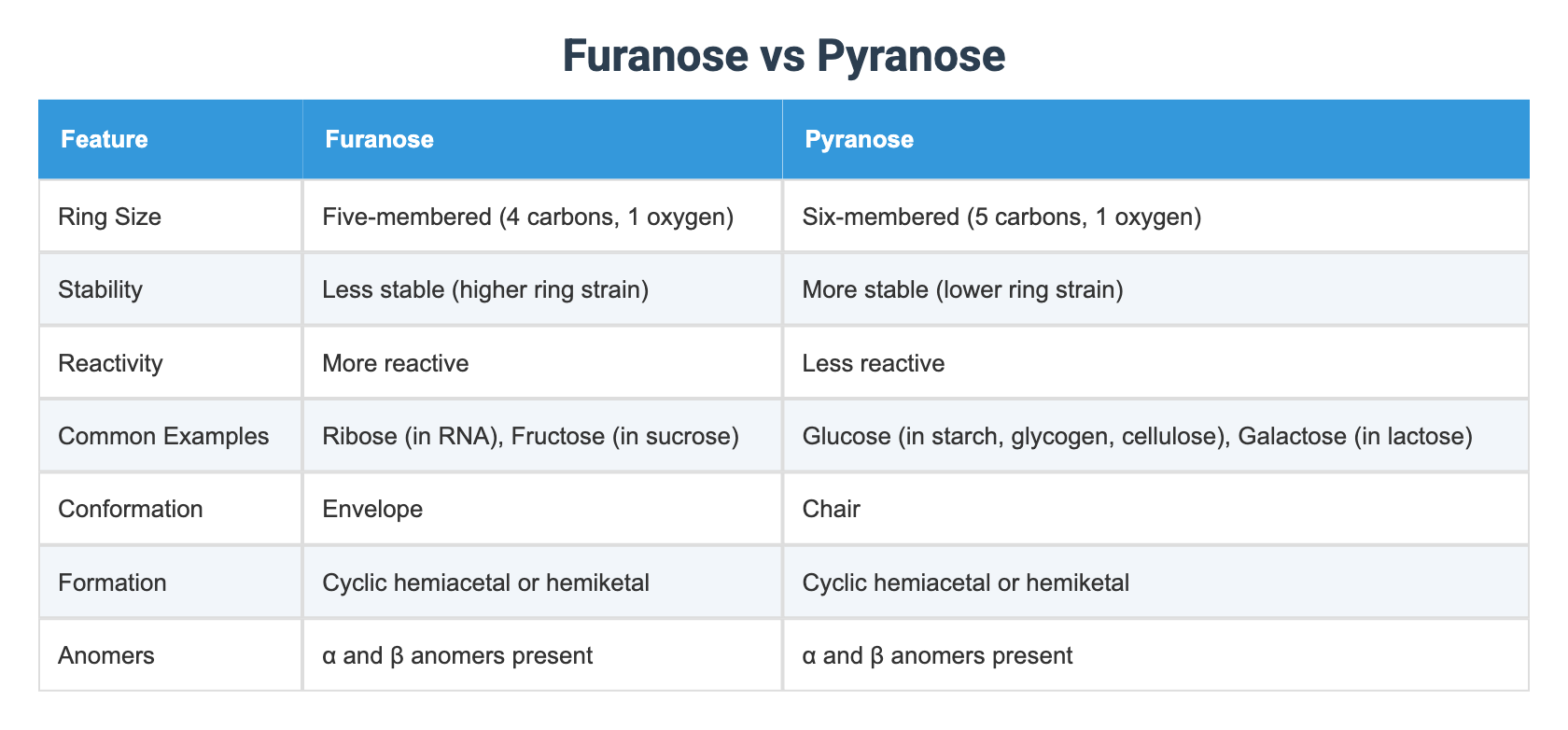 Furanose vs Pyranose