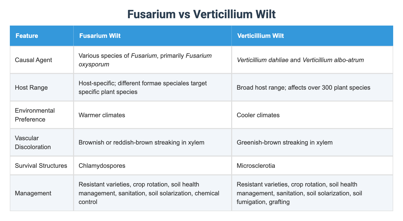 Fusarium vs Verticillium Wilt