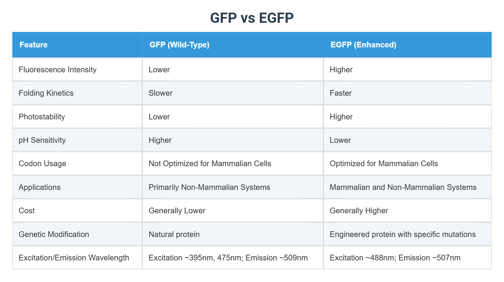 GFP vs EGFP