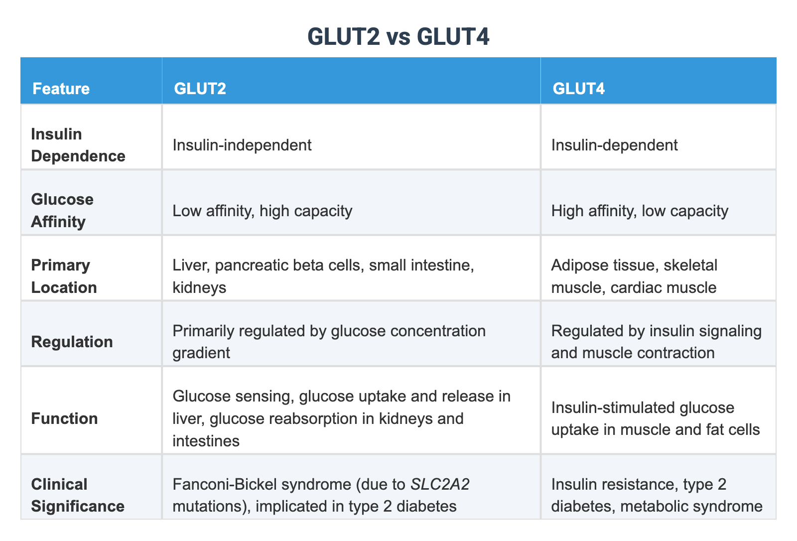 GLUT2 vs GLUT4