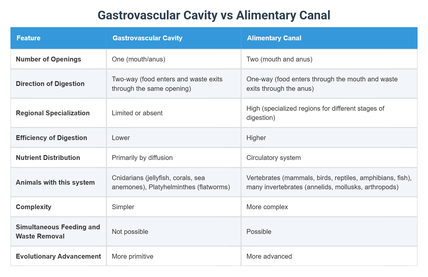 Gastrovascular Cavity vs Alimentary Canal