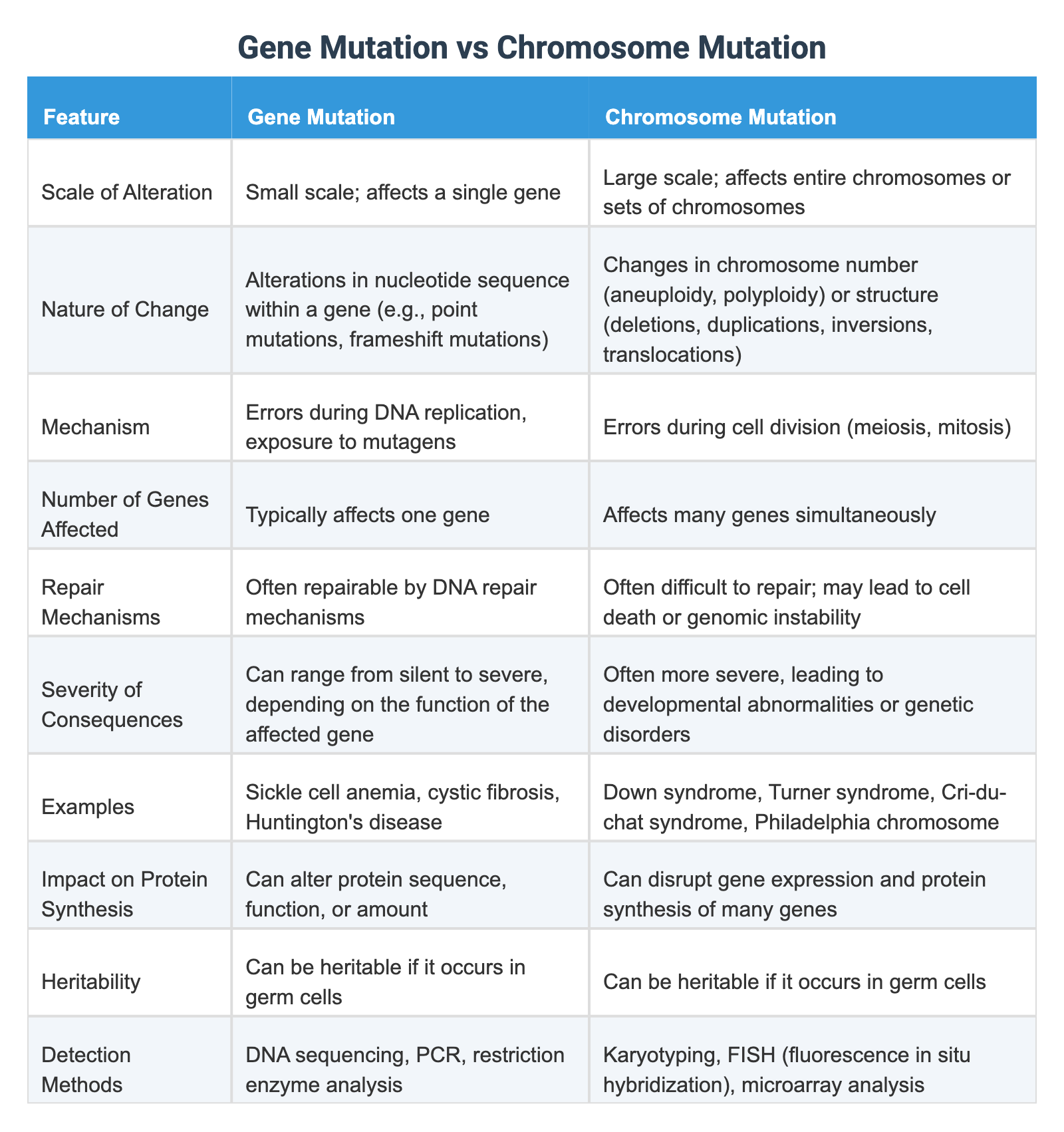 Gene Mutation vs Chromosome Mutation
