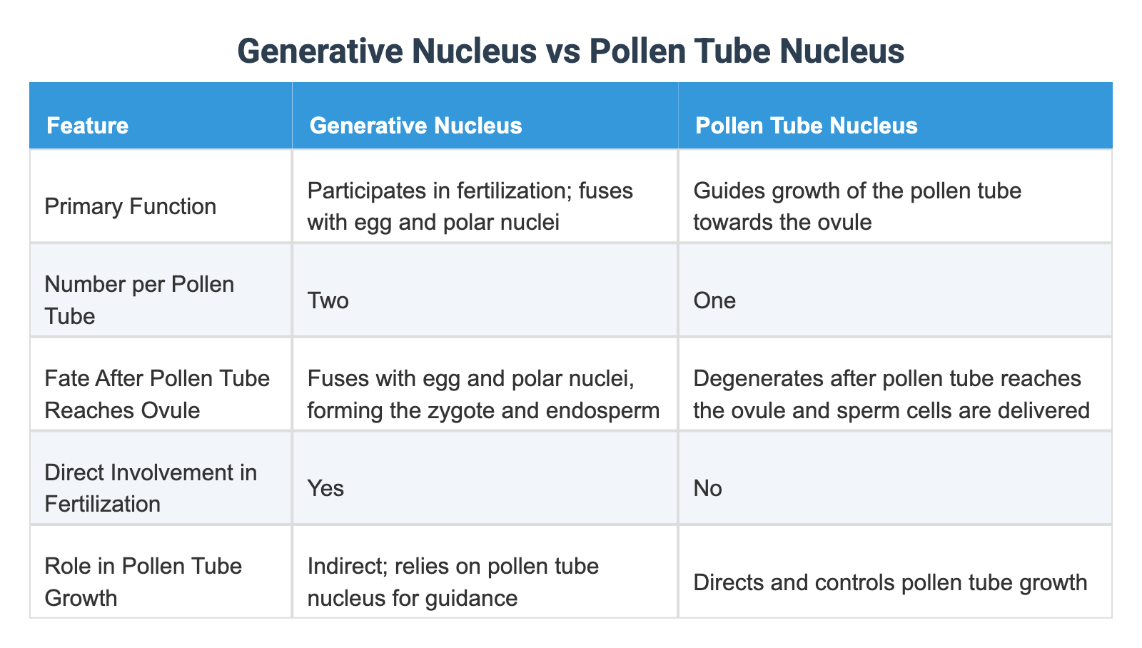 Generative Nucleus vs Pollen Tube Nucleus