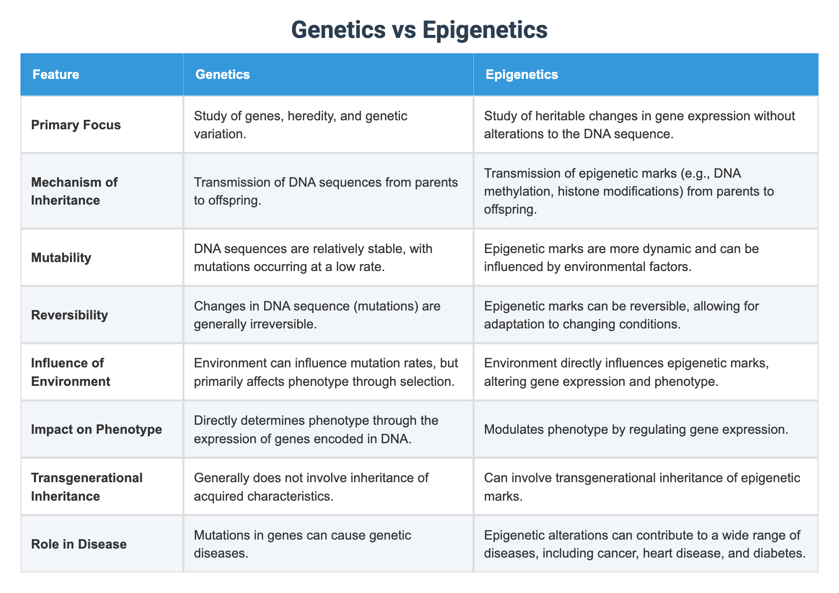 Genetics vs Epigenetics