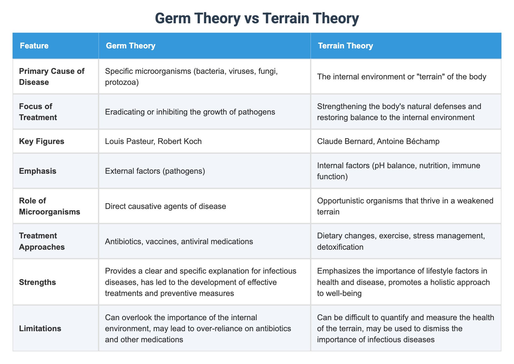 Germ Theory vs Terrain Theory