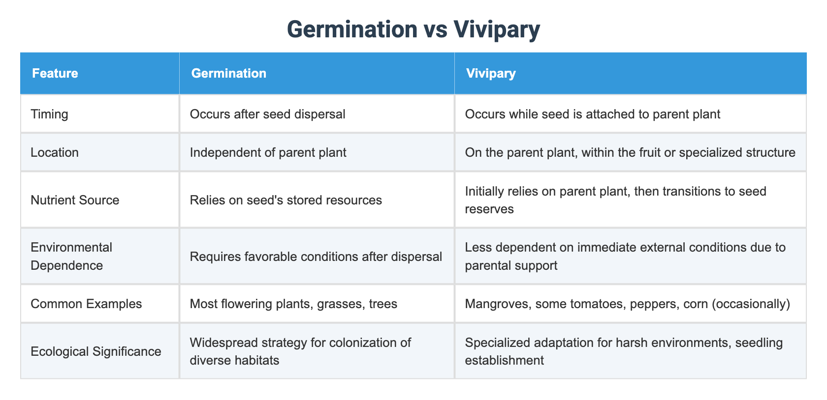 Germination vs Vivipary