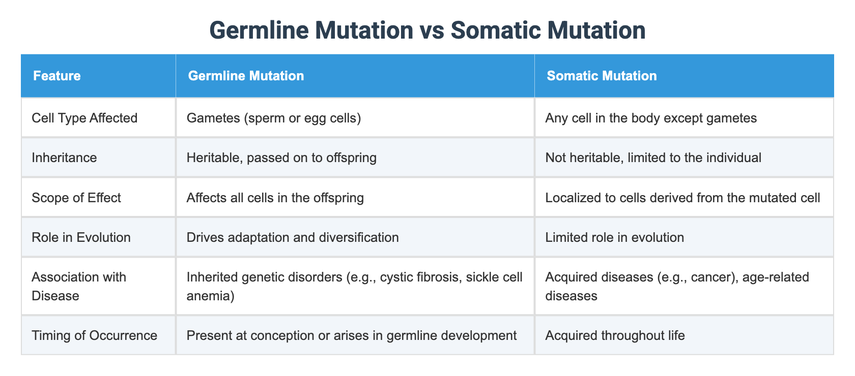 Germline Mutation vs Somatic Mutation