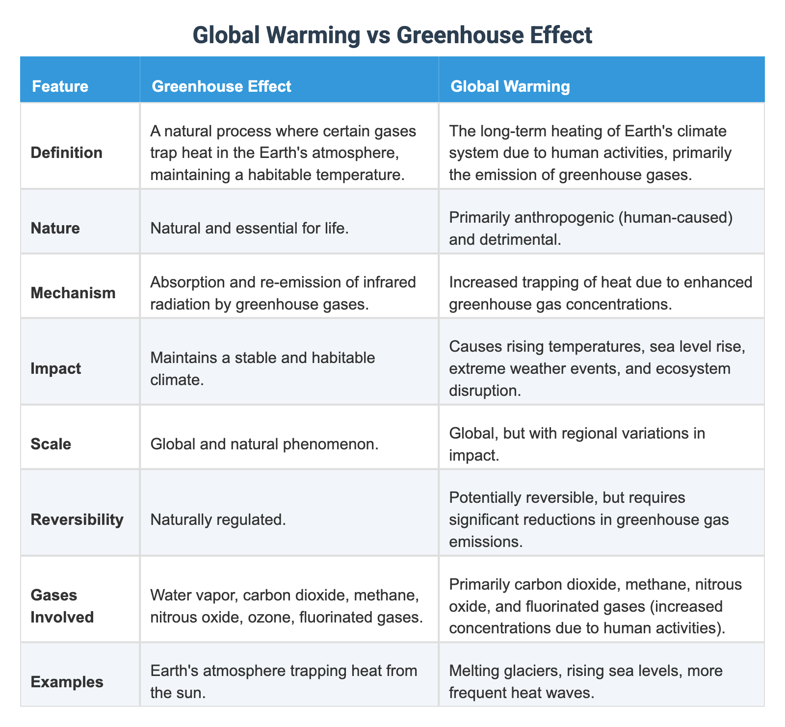 Global Warming vs Greenhouse Effect
