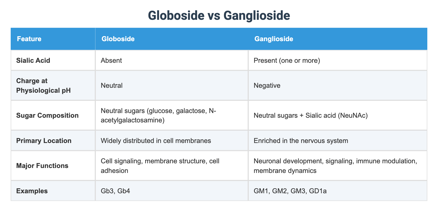 Globoside vs Ganglioside