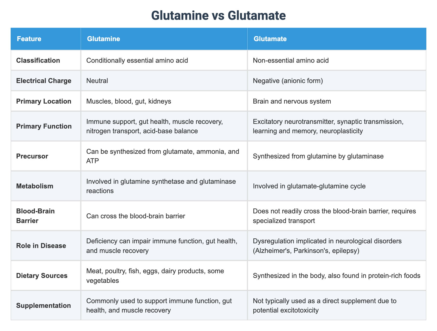 Glutamine vs Glutamate