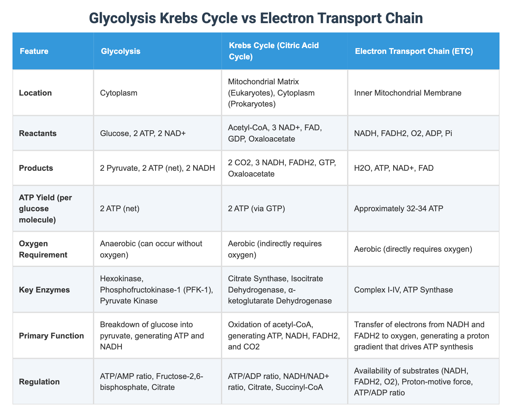 Glycolysis Krebs Cycle vs Electron Transport Chain