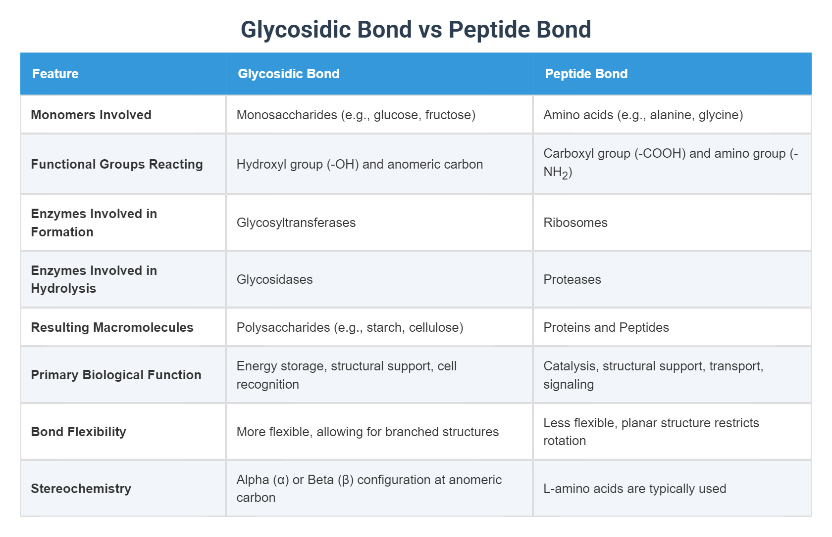 Glycosidic Bond vs Peptide Bond
