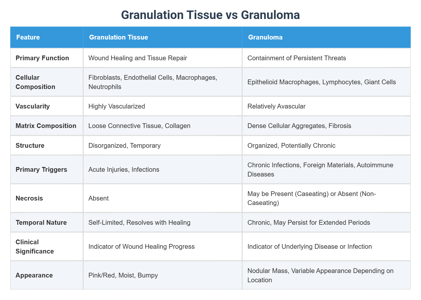 Granulation Tissue vs Granuloma