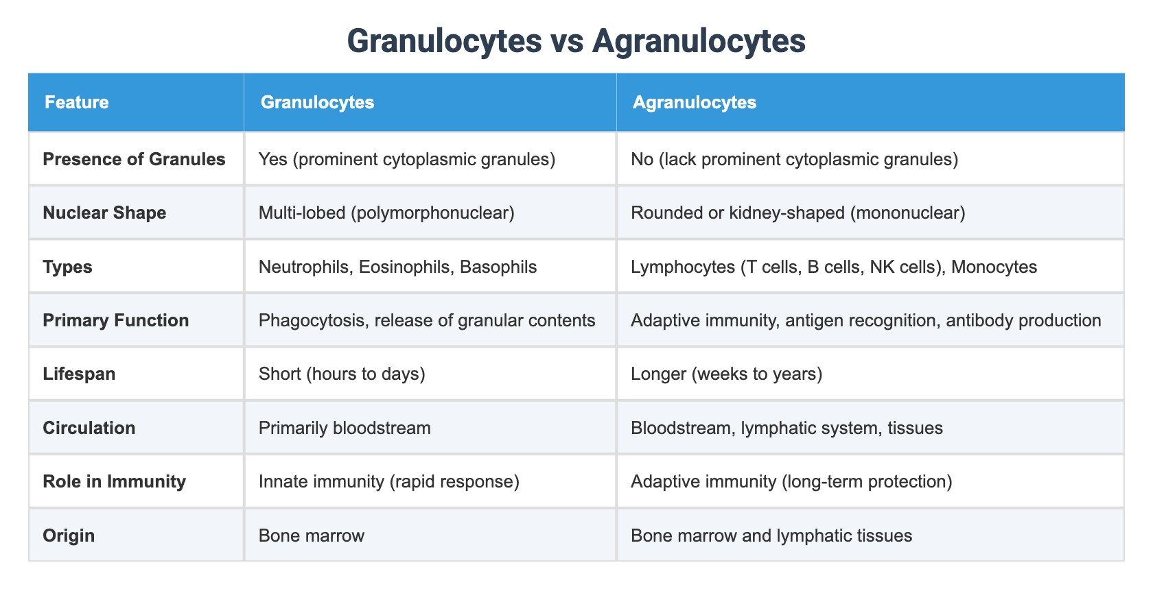 Granulocytes vs Agranulocytes
