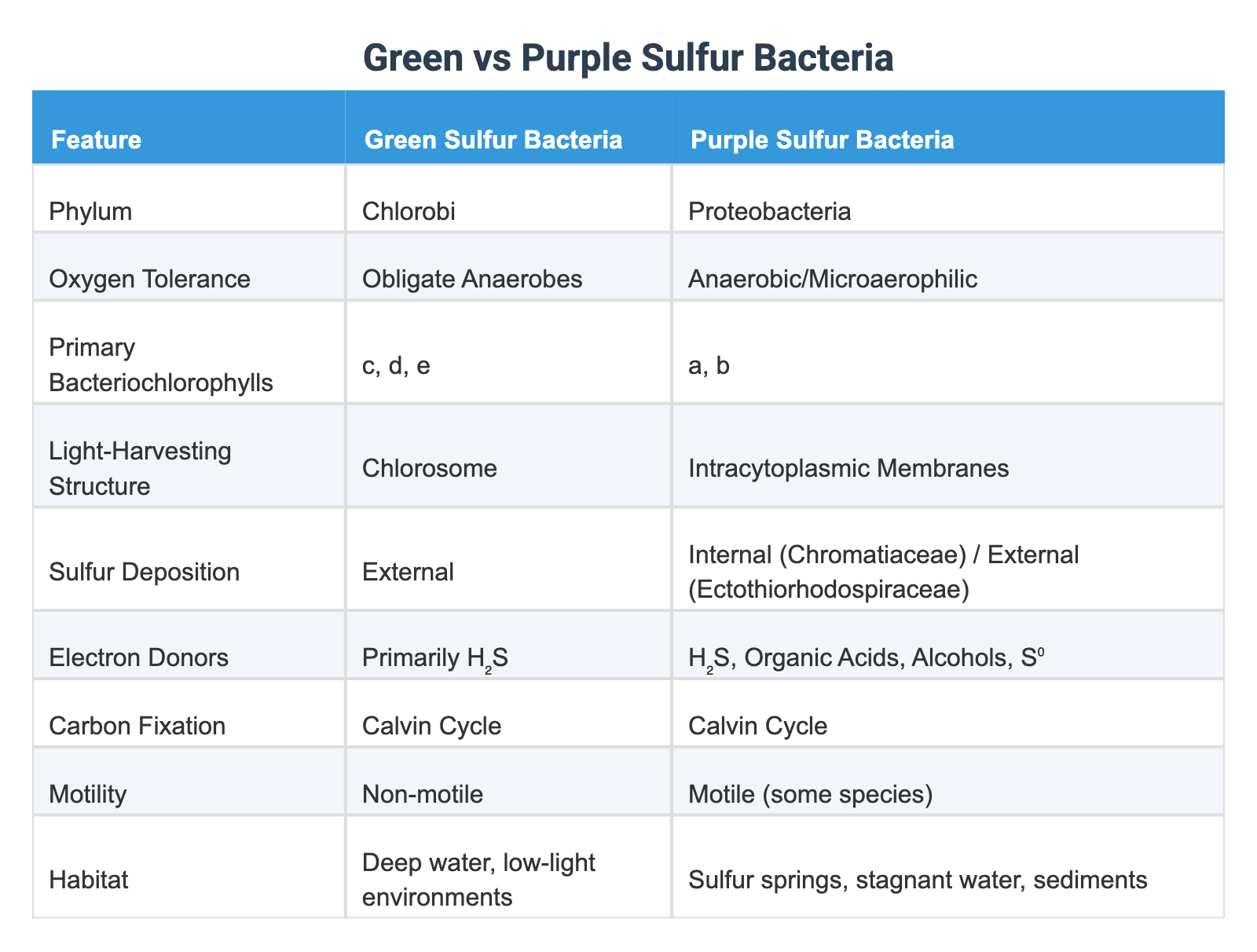 Green vs Purple Sulfur Bacteria
