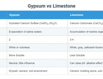 Gypsum vs Plaster of Paris