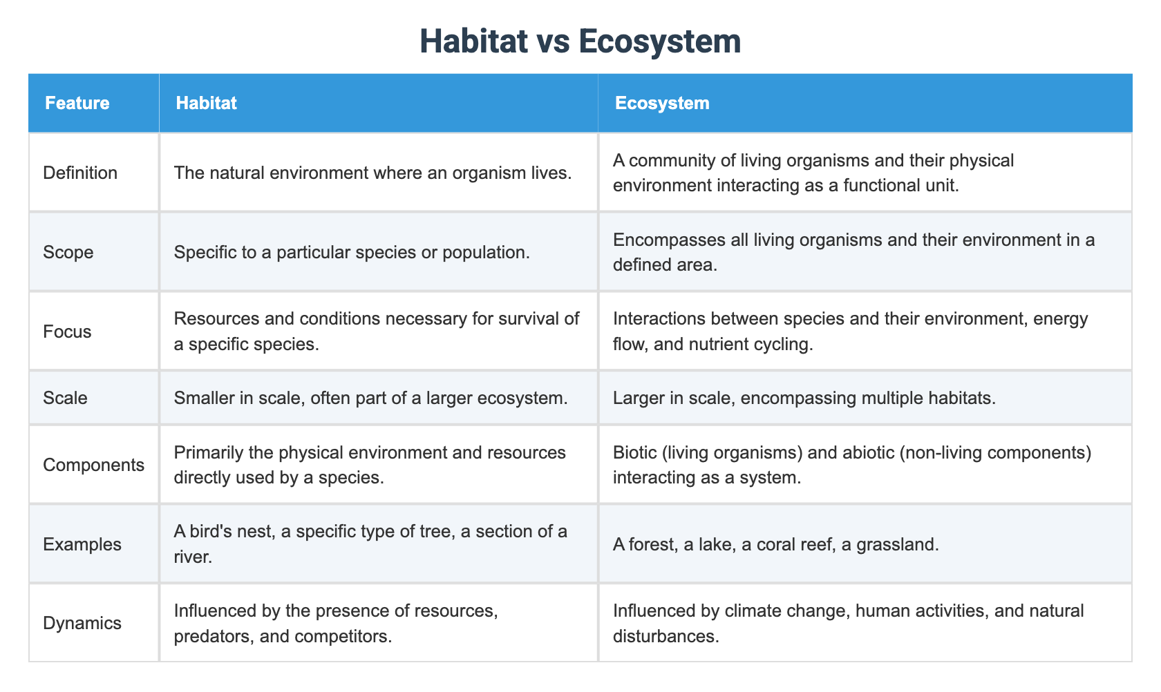 Environment vs Ecosystem