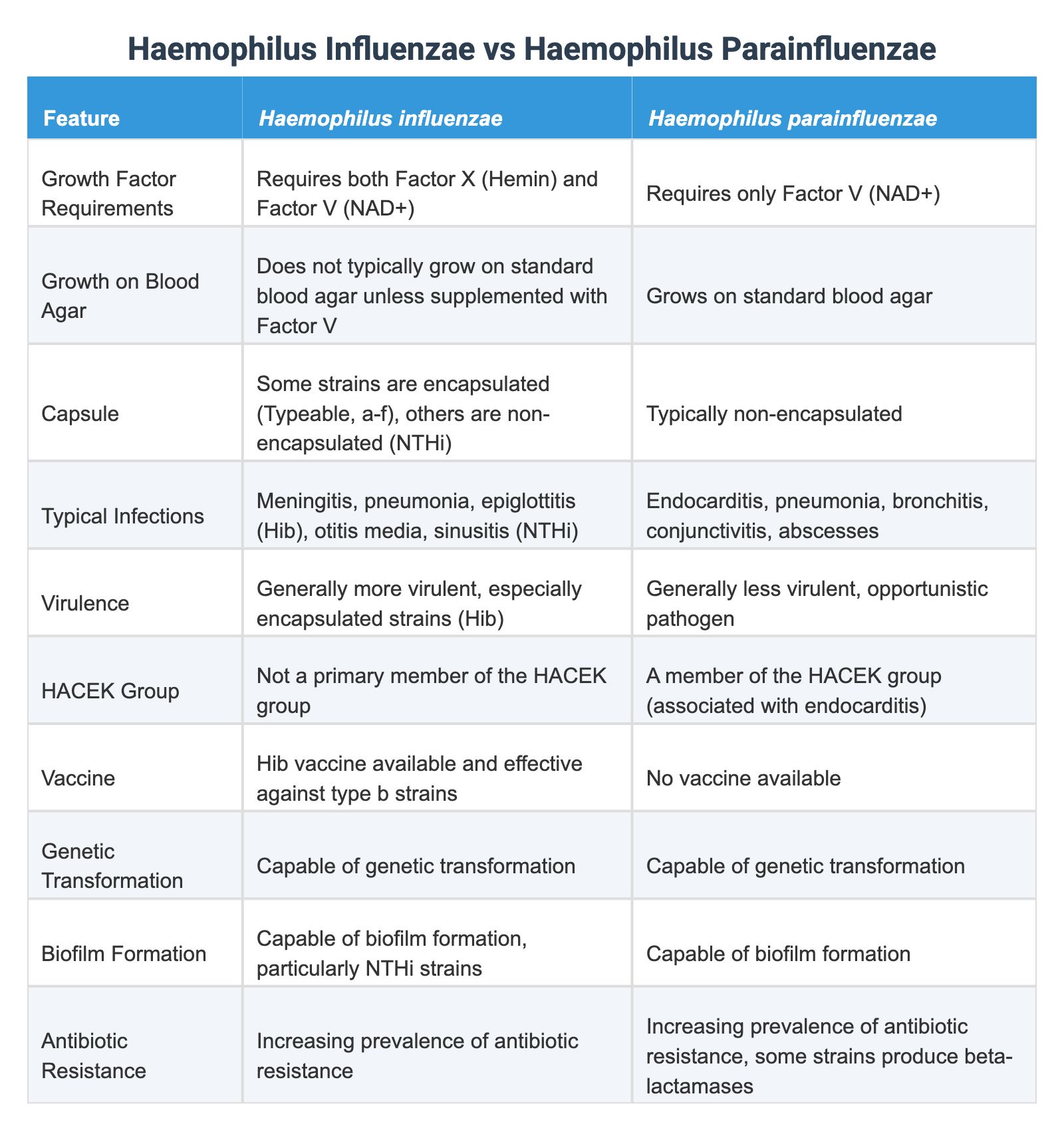 Haemophilus Influenzae vs Haemophilus Parainfluenzae