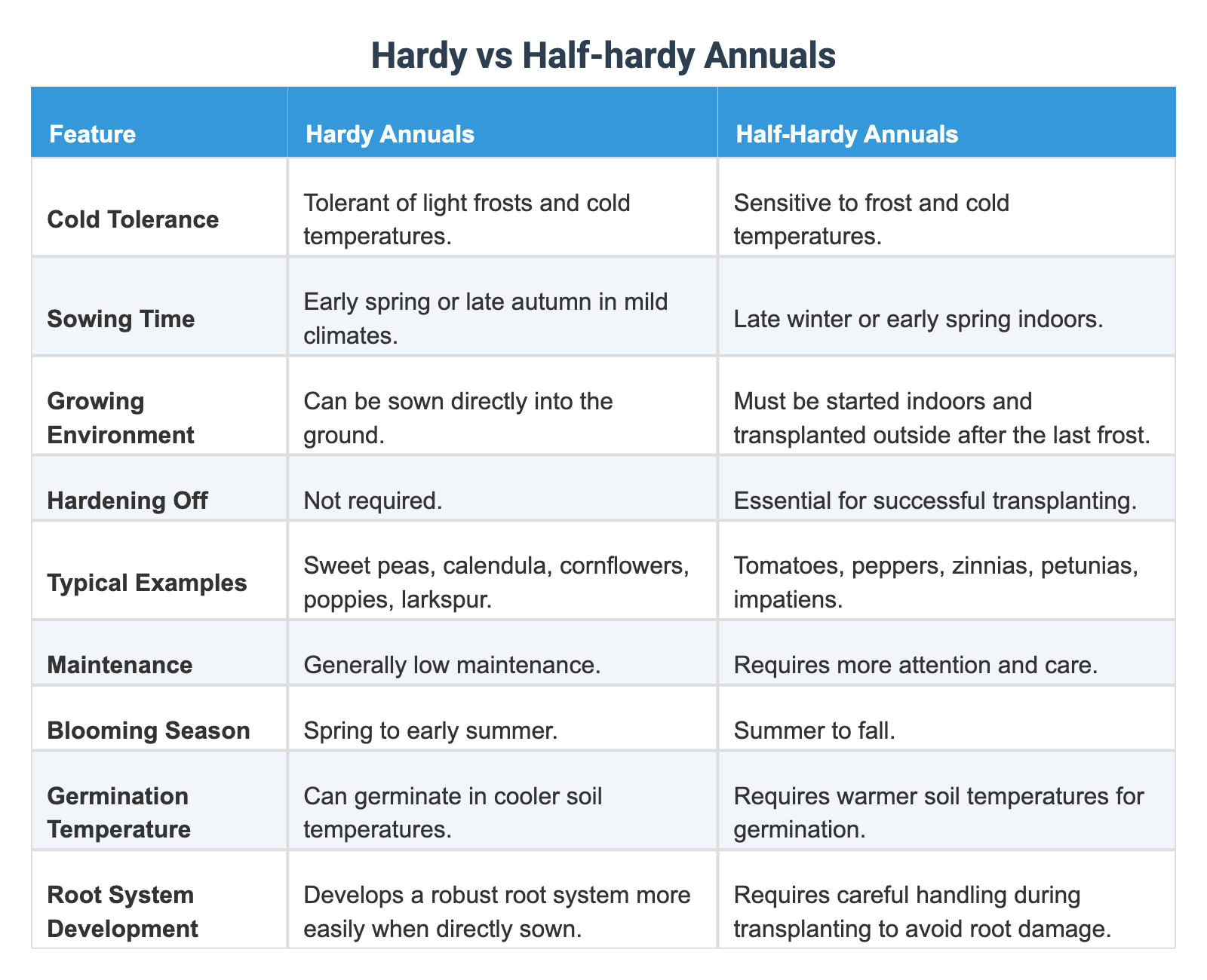 Hardy vs Half-hardy Annuals