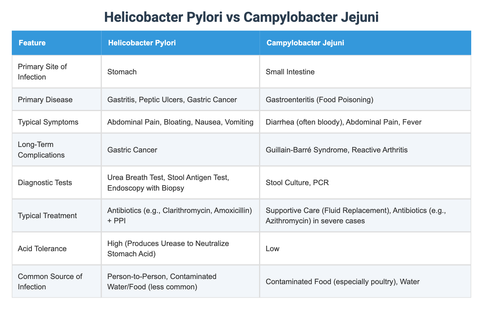 Helicobacter Pylori vs Campylobacter Jejuni