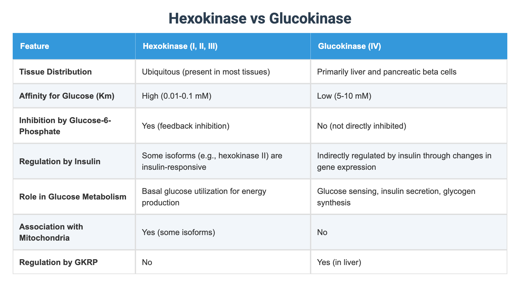 Hexokinase vs Glucokinase