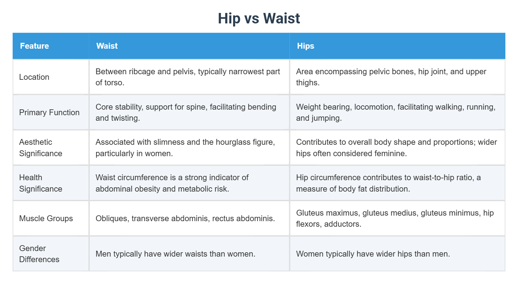Hip vs Waist