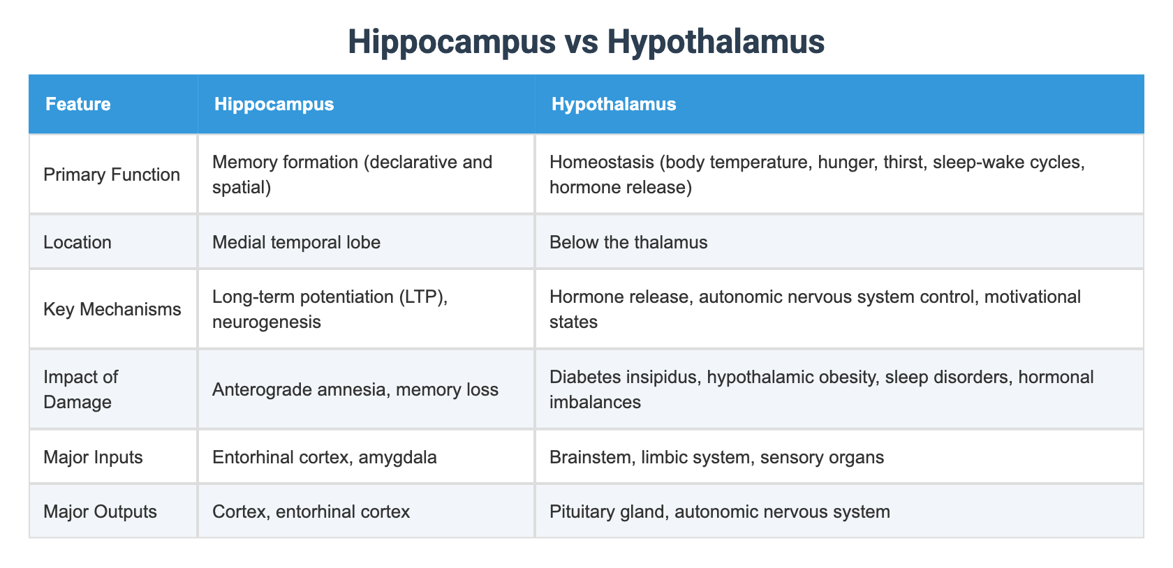Hippocampus vs Hypothalamus