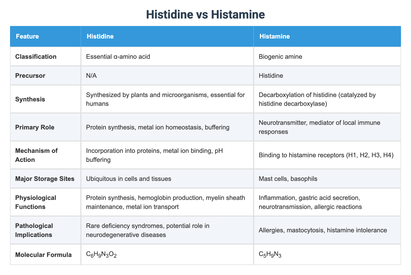 Histidine vs Histamine