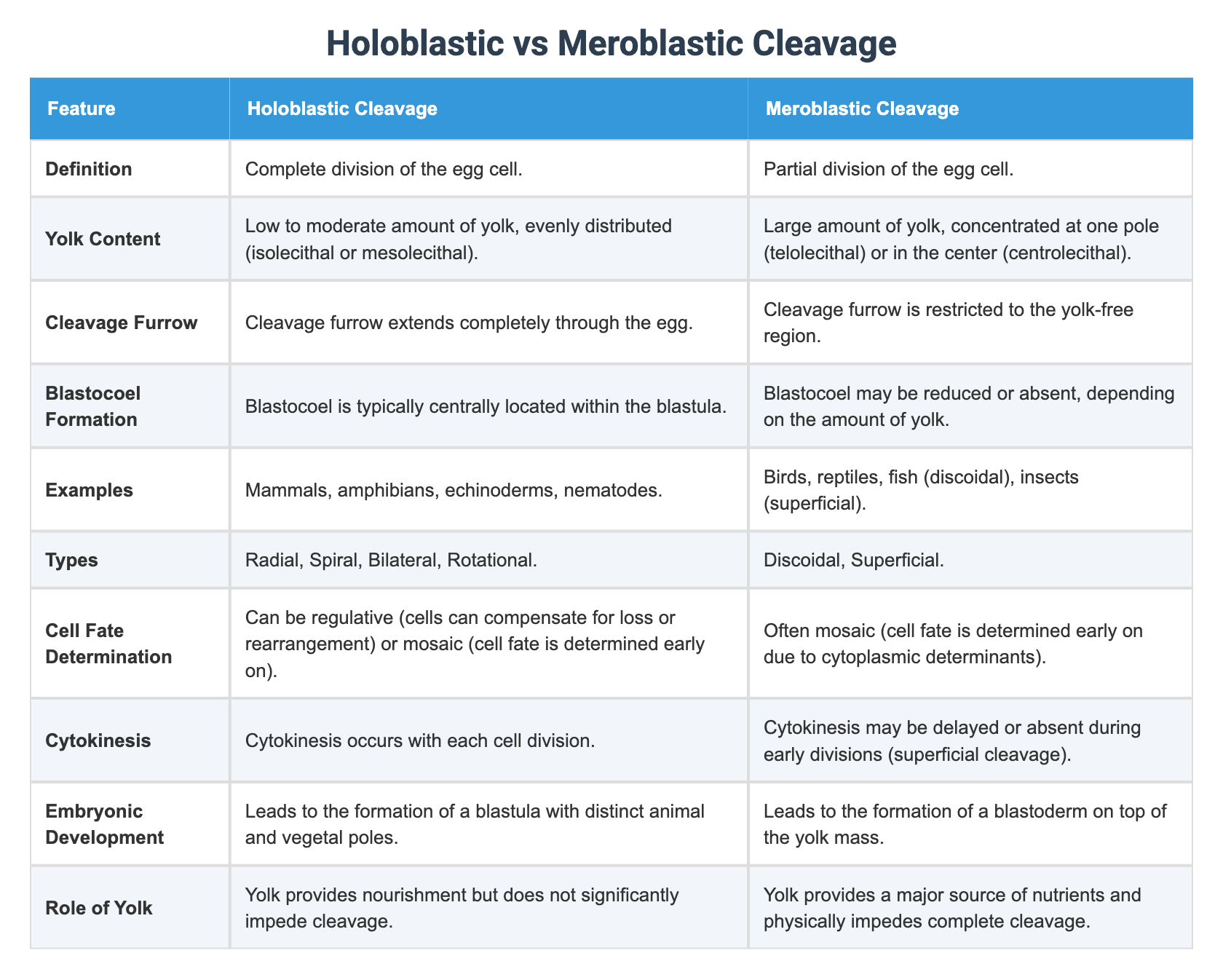 Holoblastic vs Meroblastic Cleavage
