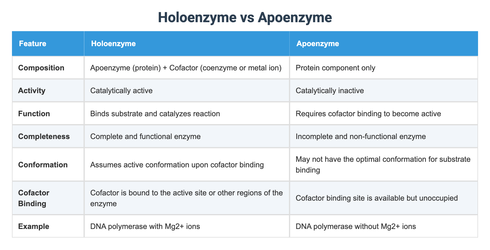 Holoenzyme vs Apoenzyme