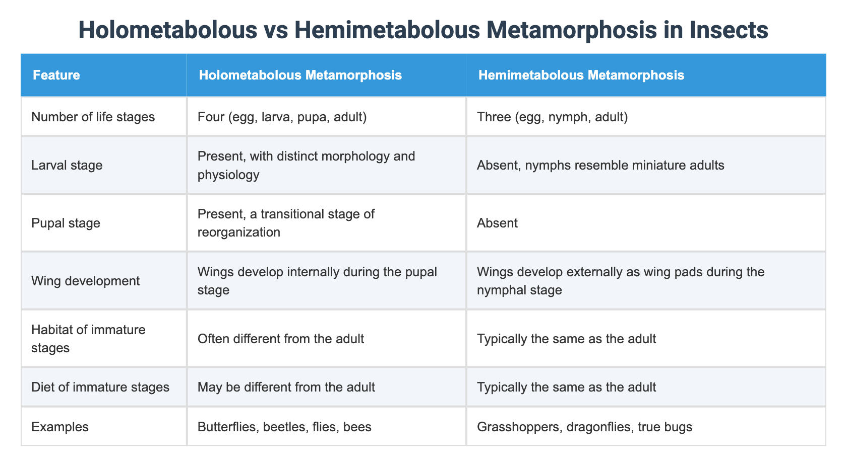 Holometabolous vs Hemimetabolous Metamorphosis in Insects