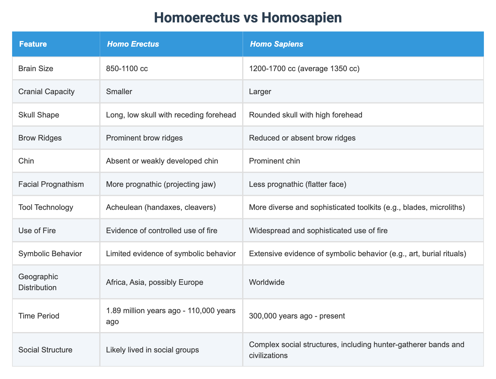 Homoerectus vs Homosapien