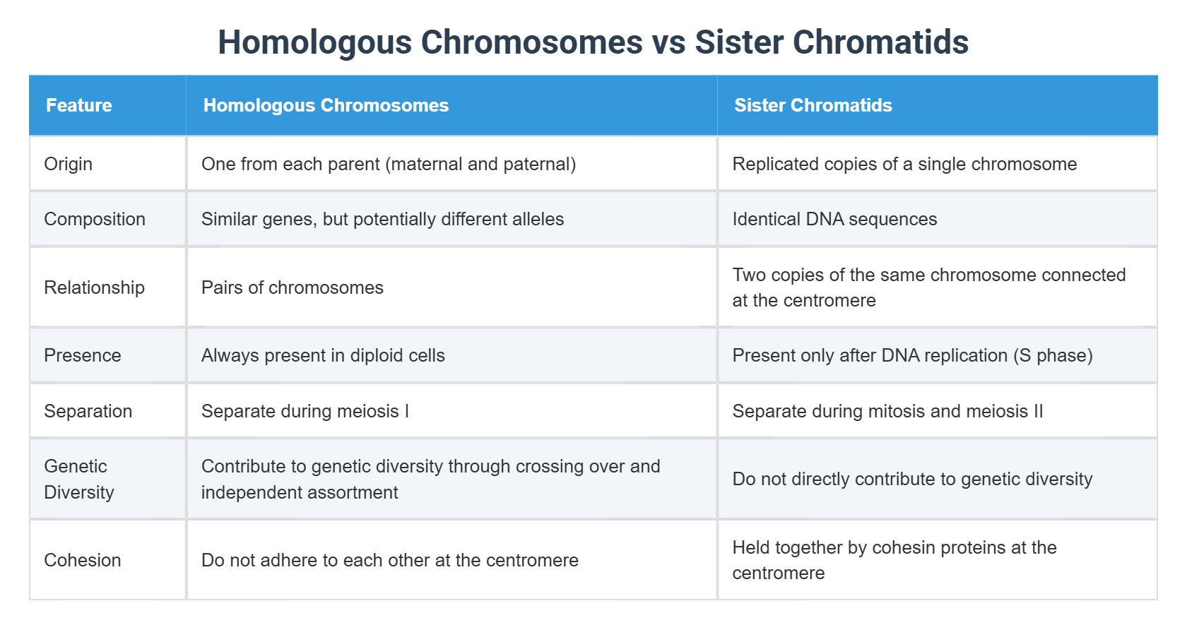 Homologous Chromosomes vs Sister Chromatids