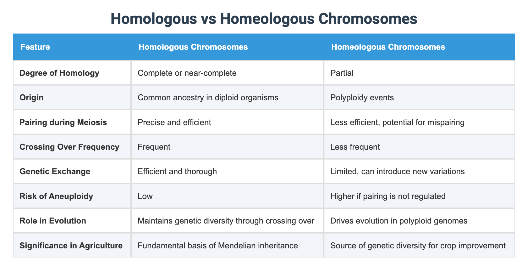 Homologous vs Homeologous Chromosomes