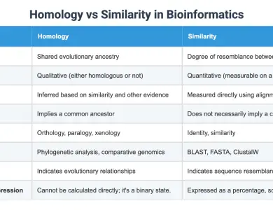 Similarity vs Identity in Sequence Alignment