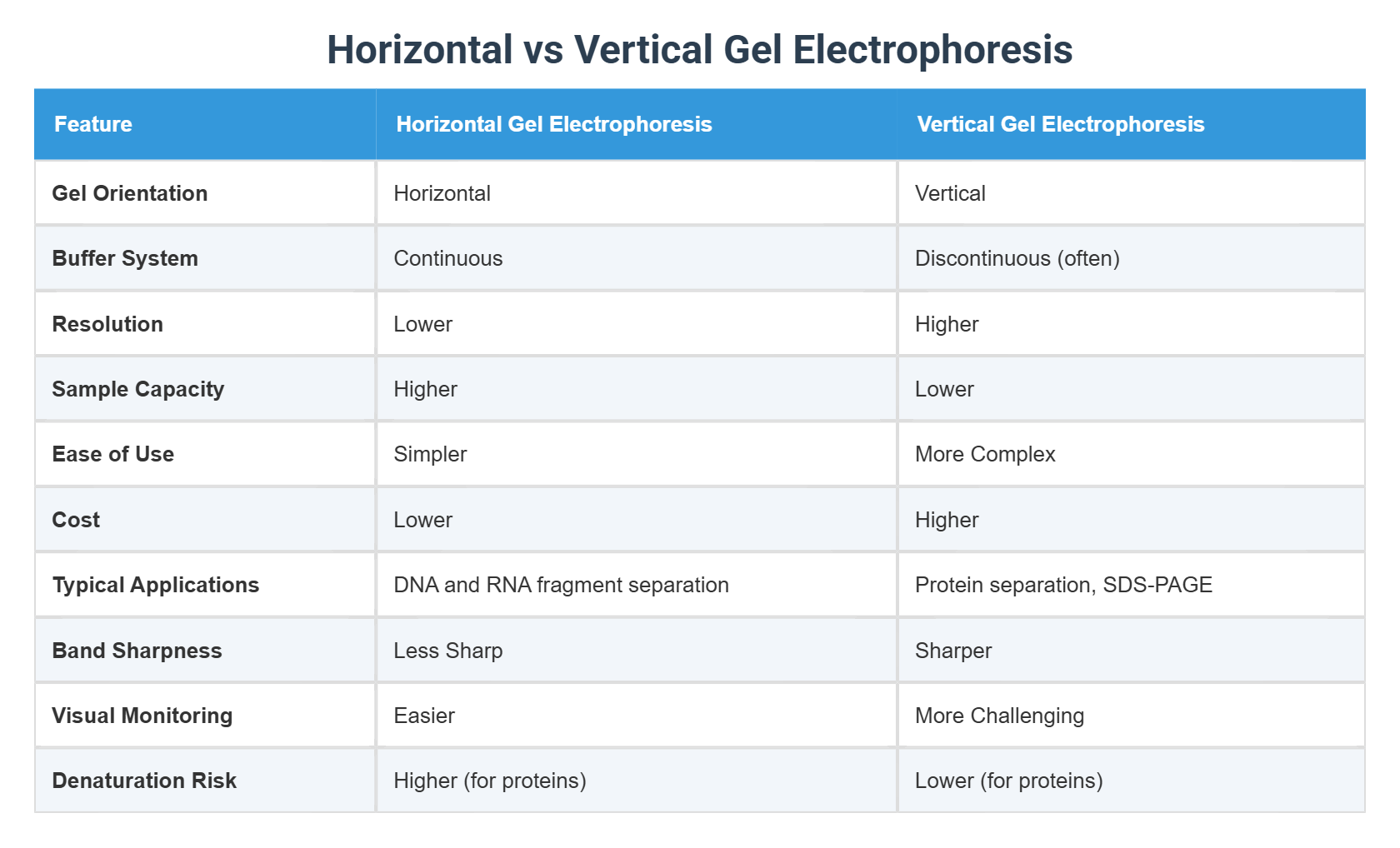 Horizontal vs Vertical Gel Electrophoresis