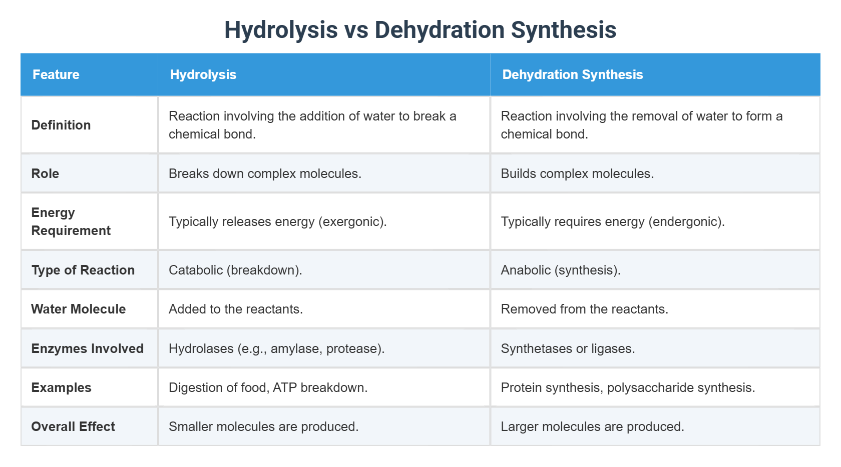 Hydrolysis vs Dehydration Synthesis