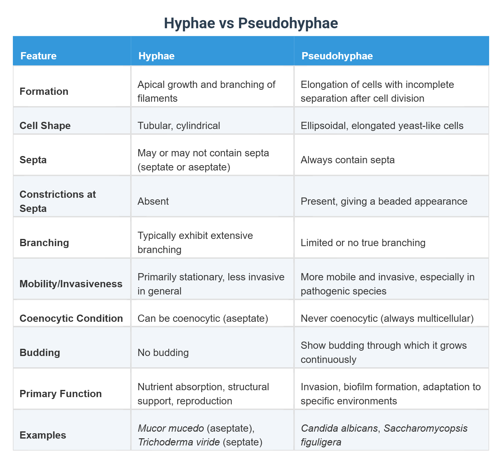 Hyphae vs Pseudohyphae