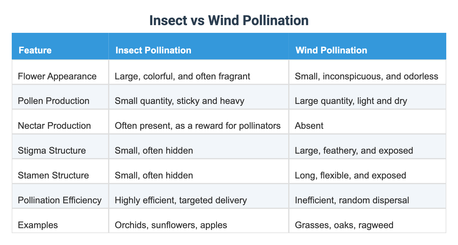 Insect vs Wind Pollination