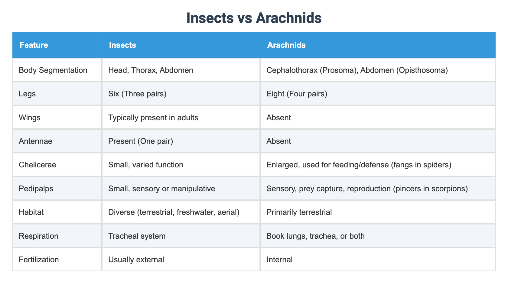 Insects vs Arachnids
