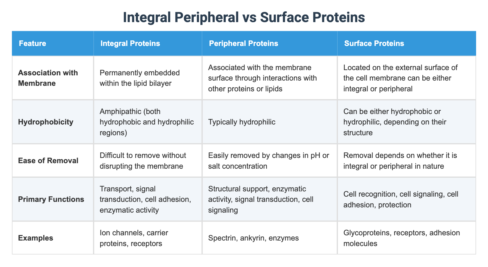 Integral Peripheral vs Surface Proteins