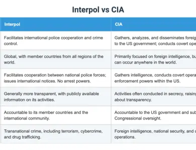 FBI vs CIA